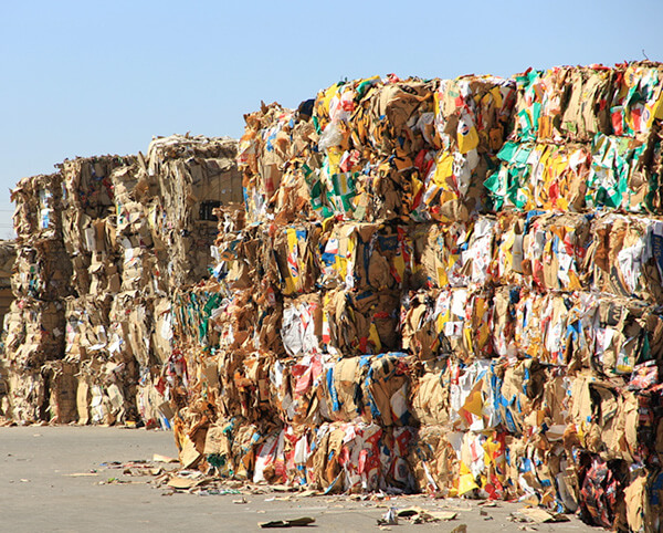 Paper Industry Invests in Research - The Paper Story (PAMSA)