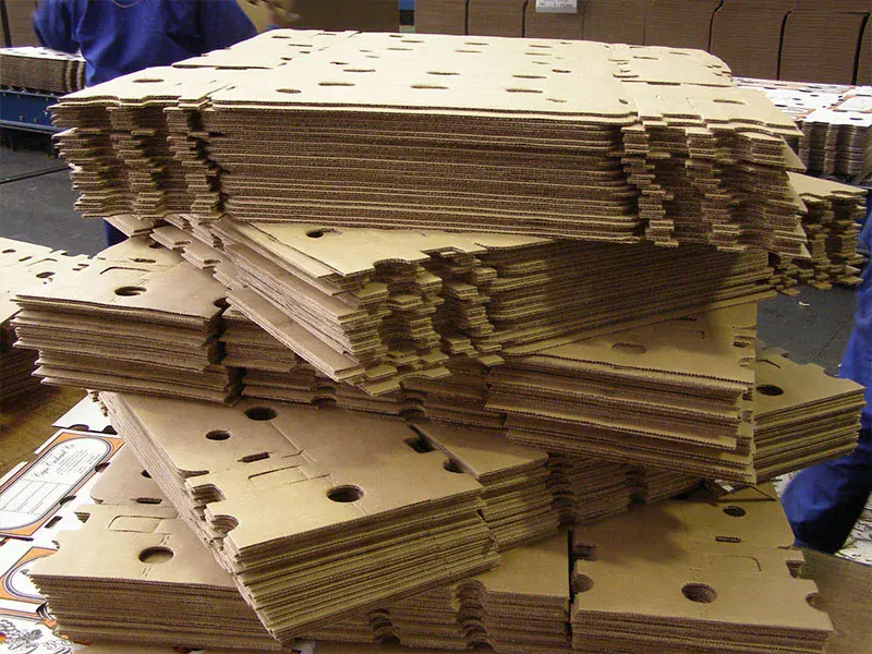 Paper Recycling Explained